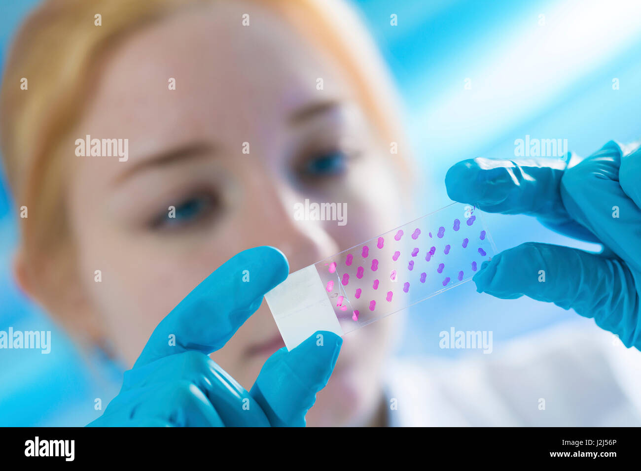 Female scientist examining microscope slide Stock Photo - Alamy