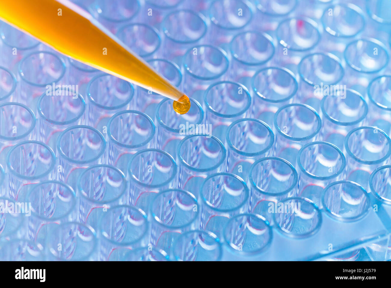 Pipette and multi well tray Stock Photo - Alamy