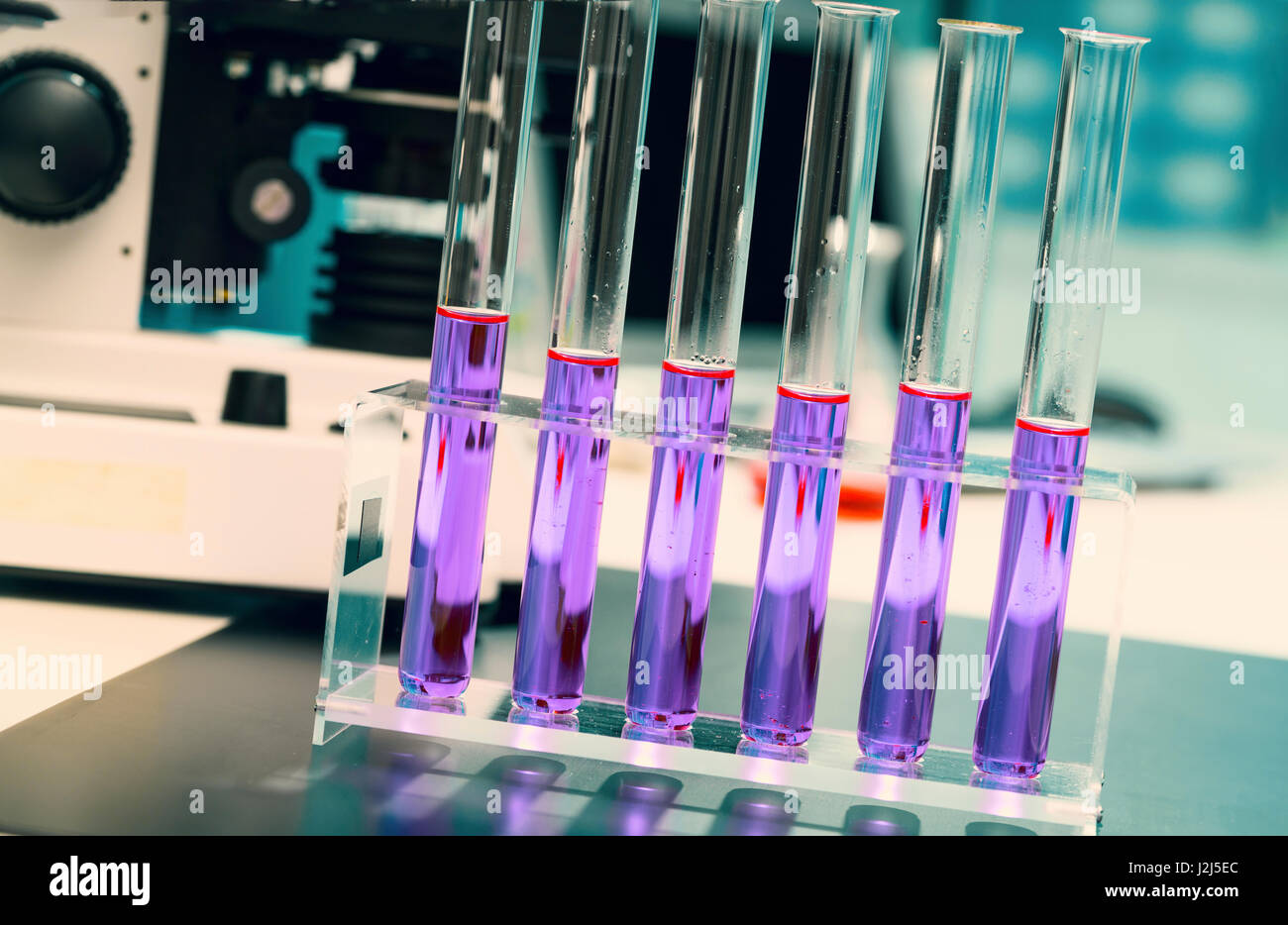 Test tubes in a test tube rack Stock Photo - Alamy