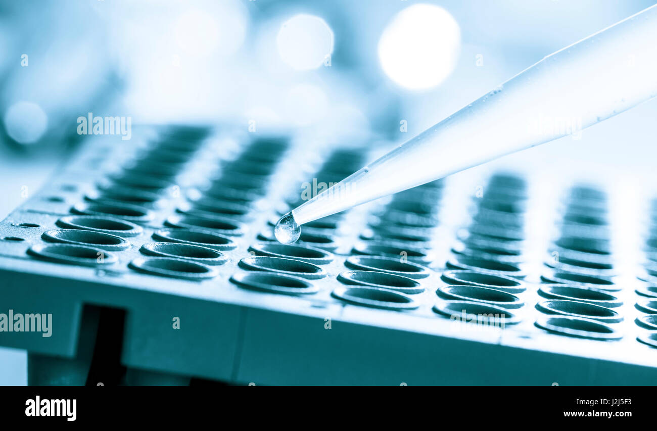 Multi well plate with pipette Stock Photo - Alamy
