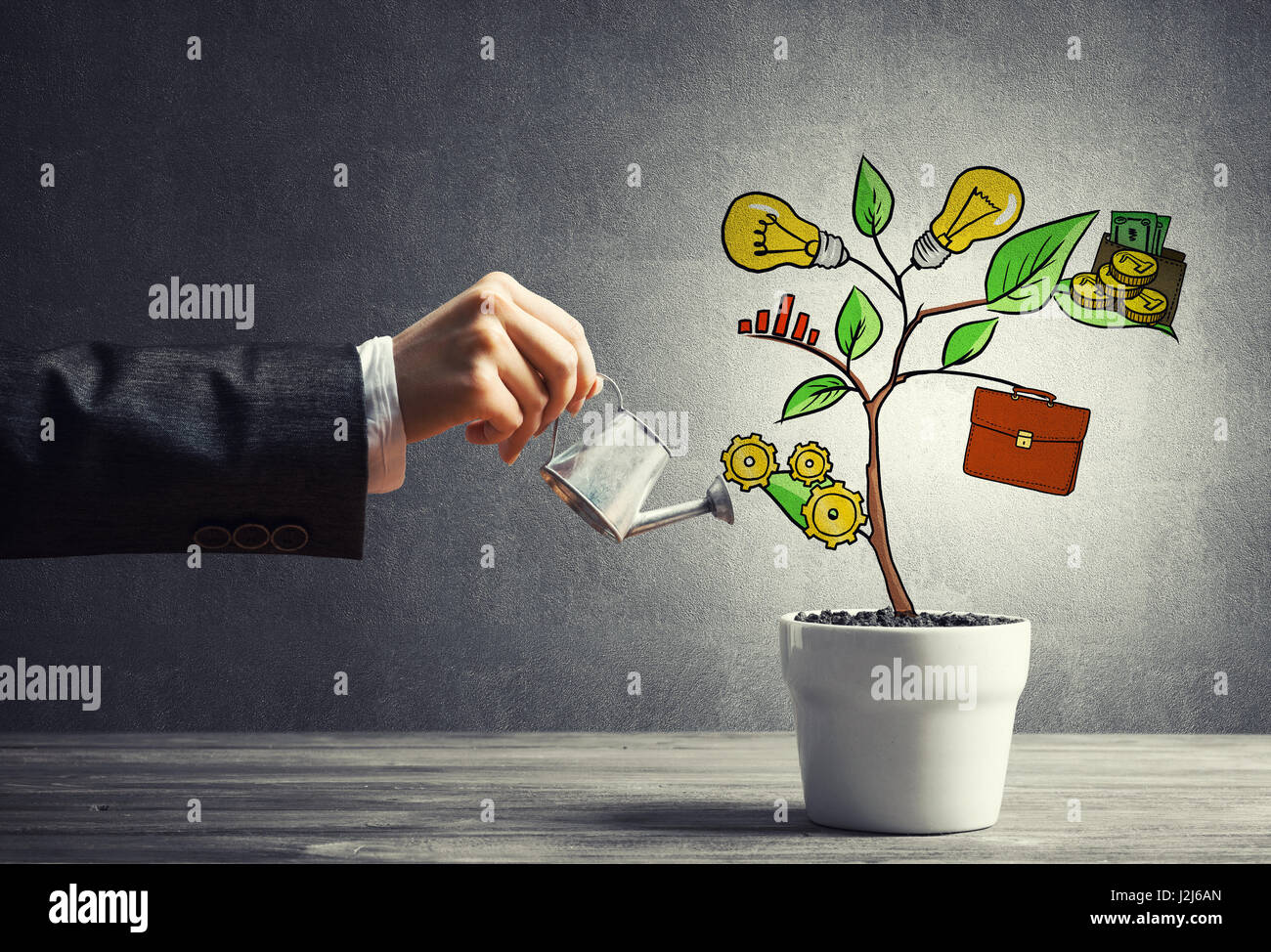 Drawn income tree in white pot for business investment savings and ...