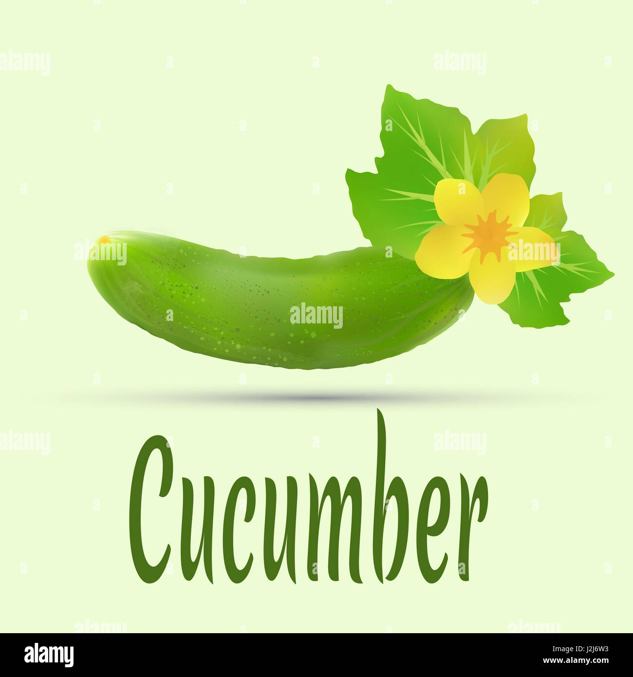 Green flowers kitchen Stock Vector Images - Alamy