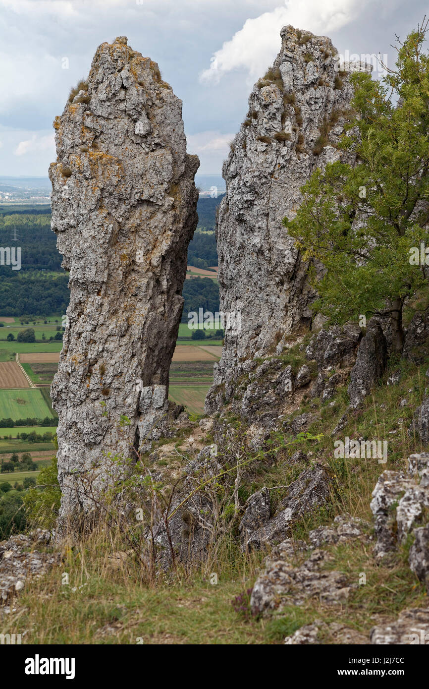 The Walberla (513.9 m high) the north peak of the Ehrenbürg (531.9 m ...