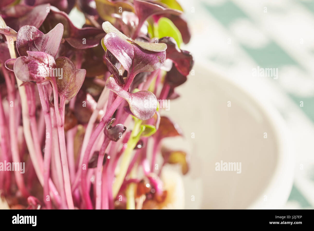 Japanese cress hi-res stock photography and images - Alamy