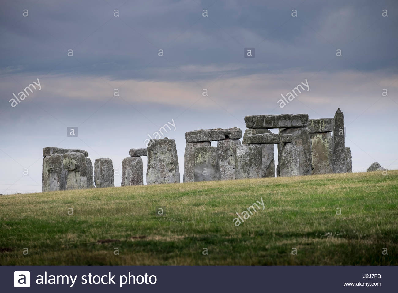 Standing Ring High Resolution Stock Photography and Images - Alamy