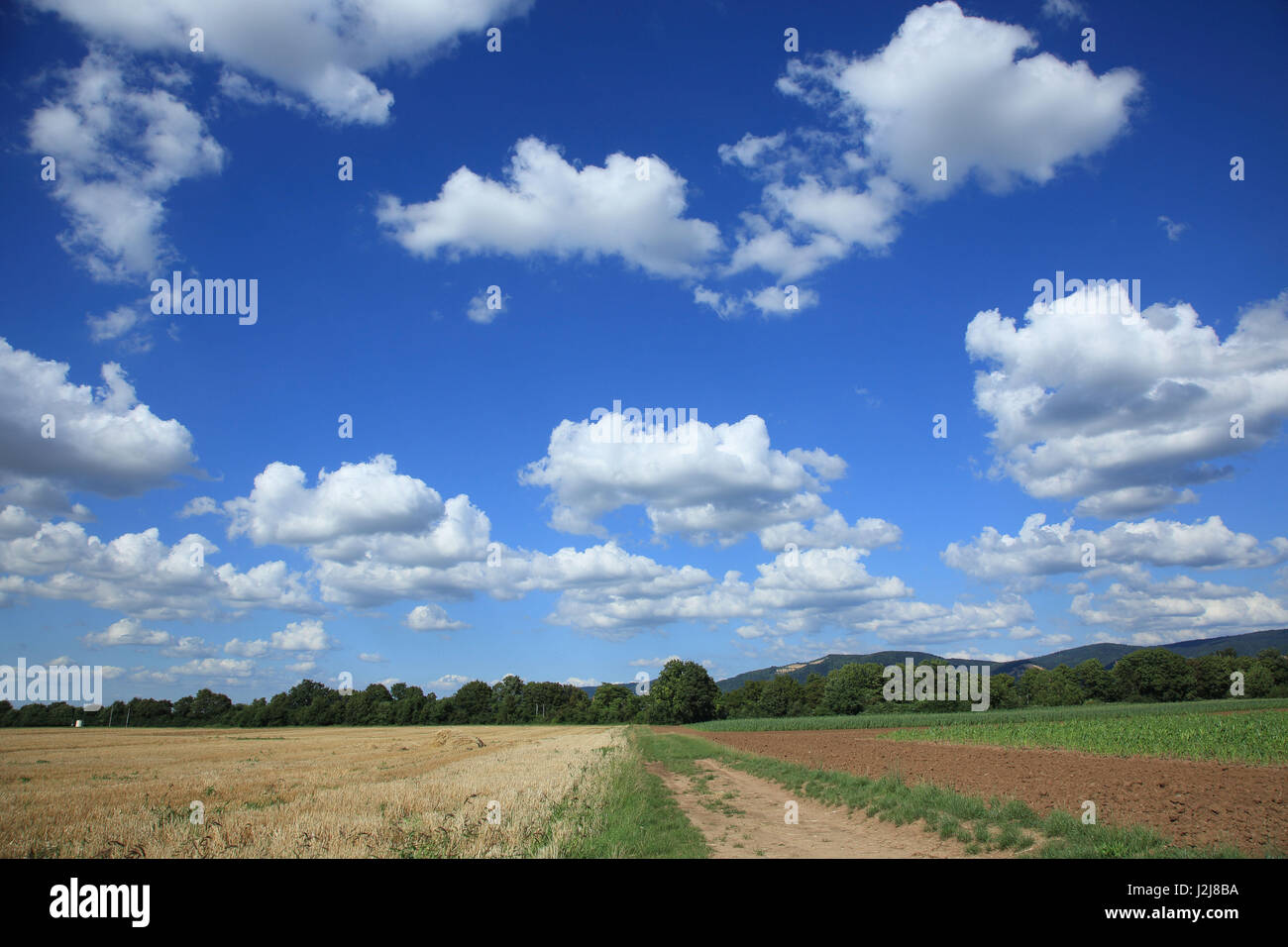Grain field with clouds in autumn Stock Photo - Alamy