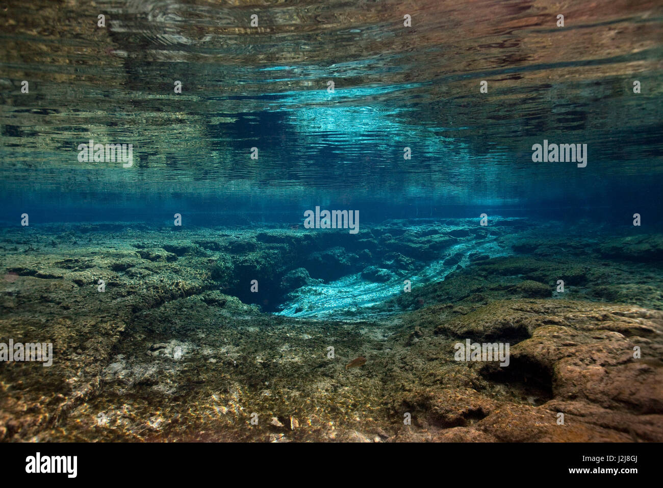 Ginnie Springs pit with freshwater source in Santa Fe River, Florida ...