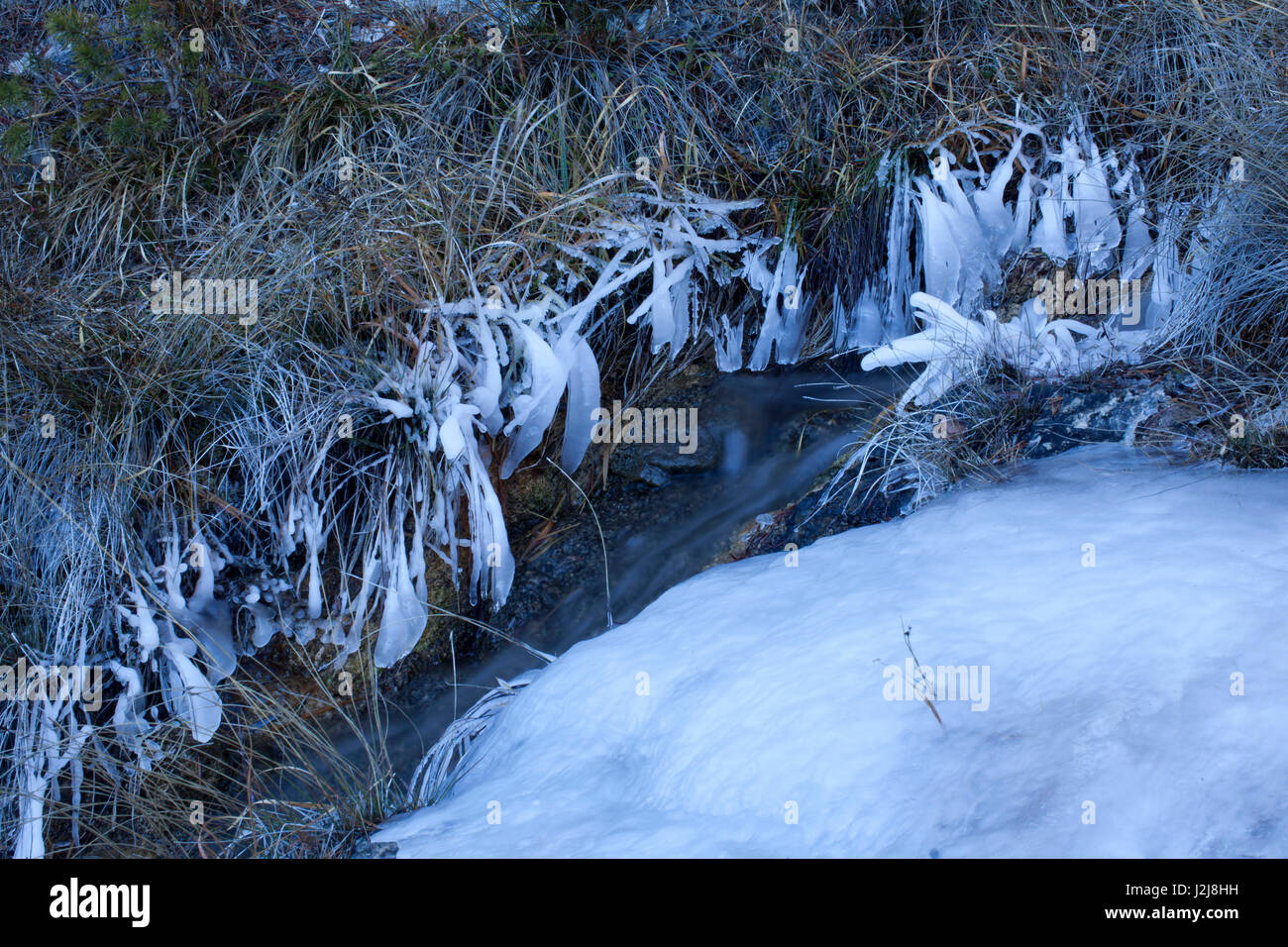 natural sculptural ice forms in the mountain brook Stock Photo - Alamy