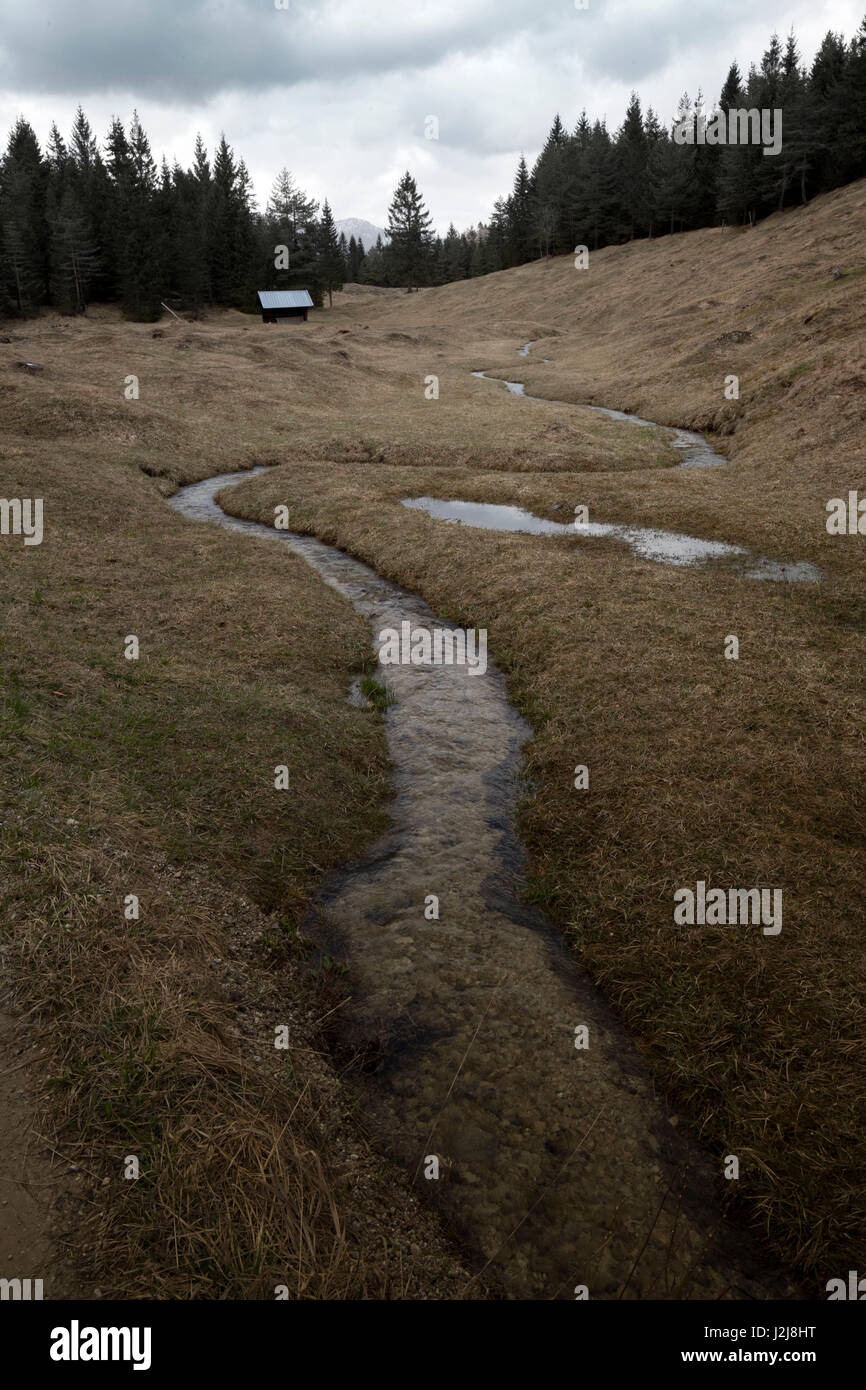 meander in a meadow brook Stock Photo - Alamy