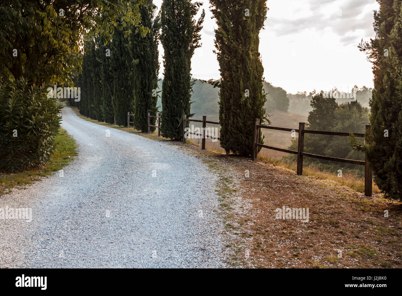 Mediterranean garden driveway hi-res stock photography and images - Alamy