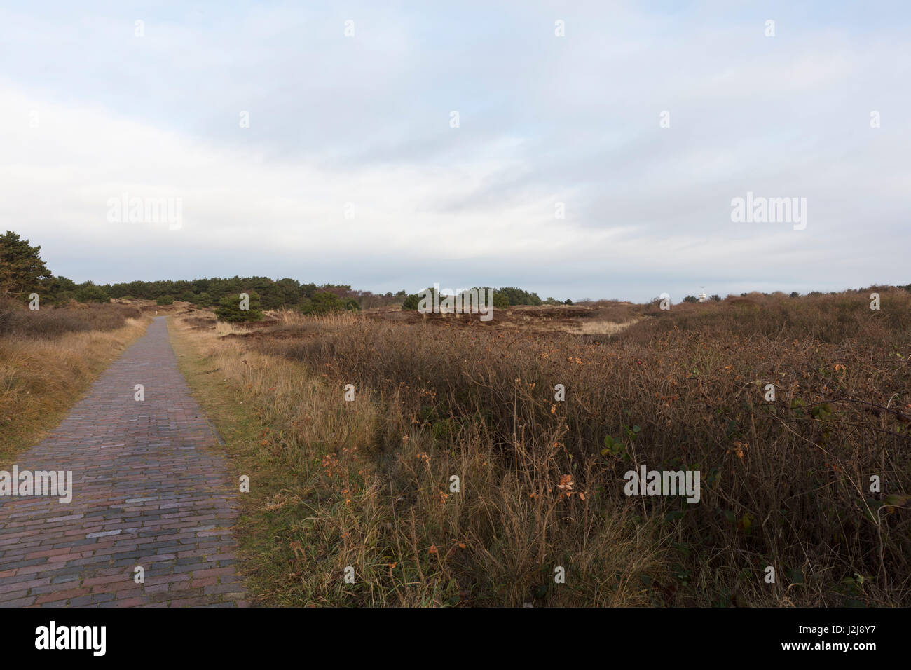 Dune scenery on the island wangerooge hi-res stock photography and ...