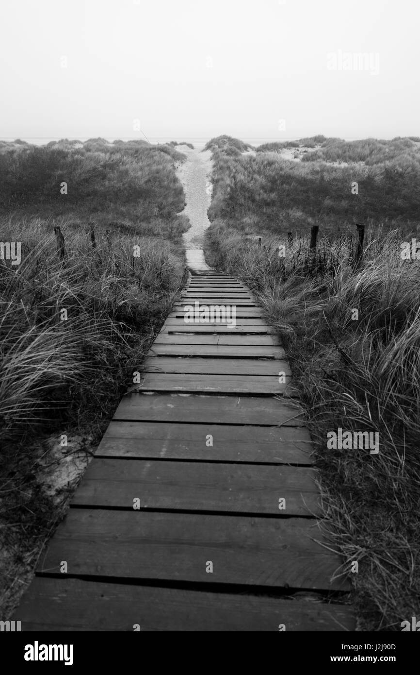 way / footpath over the dunes to the beach in the east, Wangerooge ...