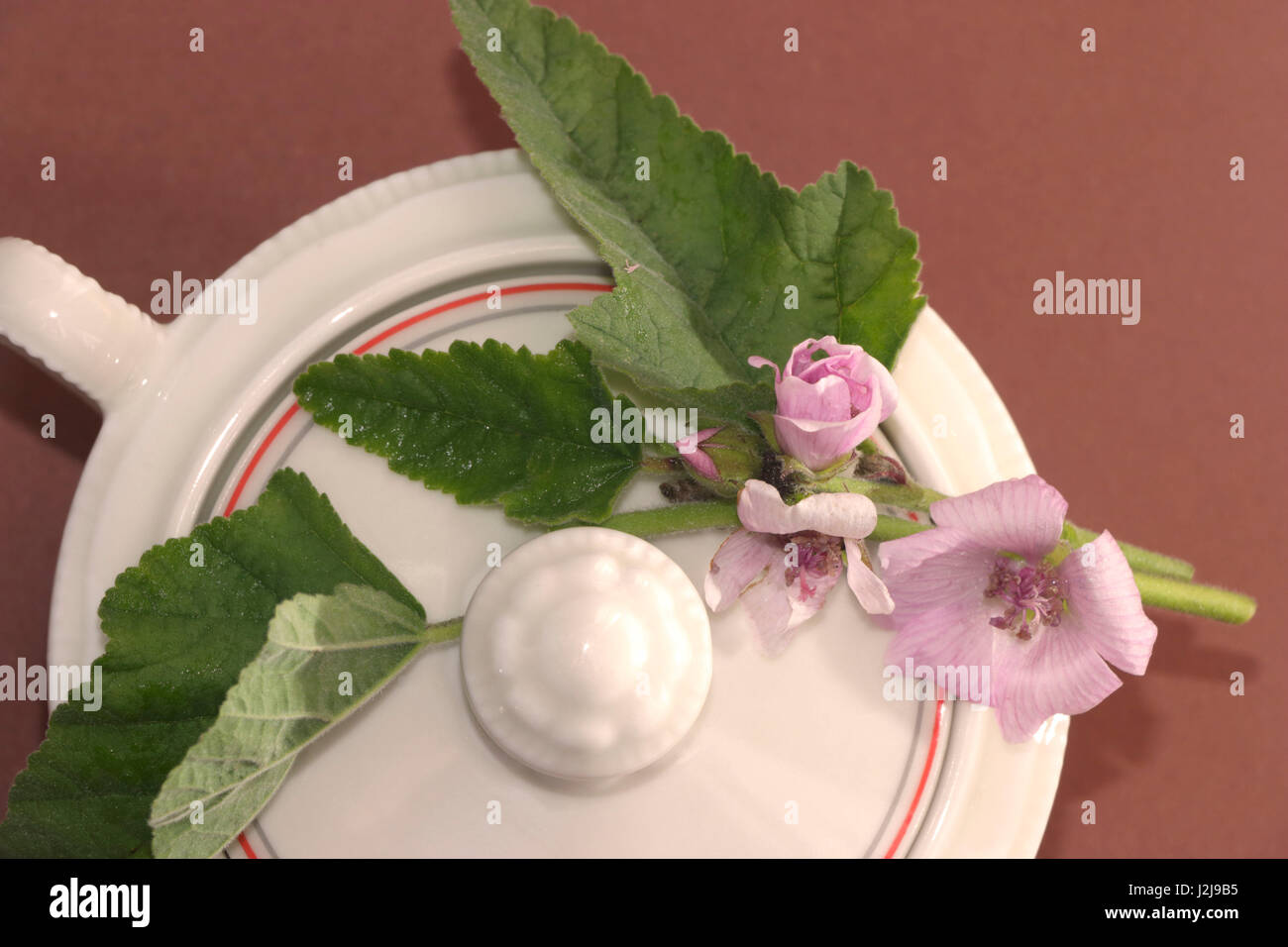 Arrangement with real marsh mallow Stock Photo - Alamy