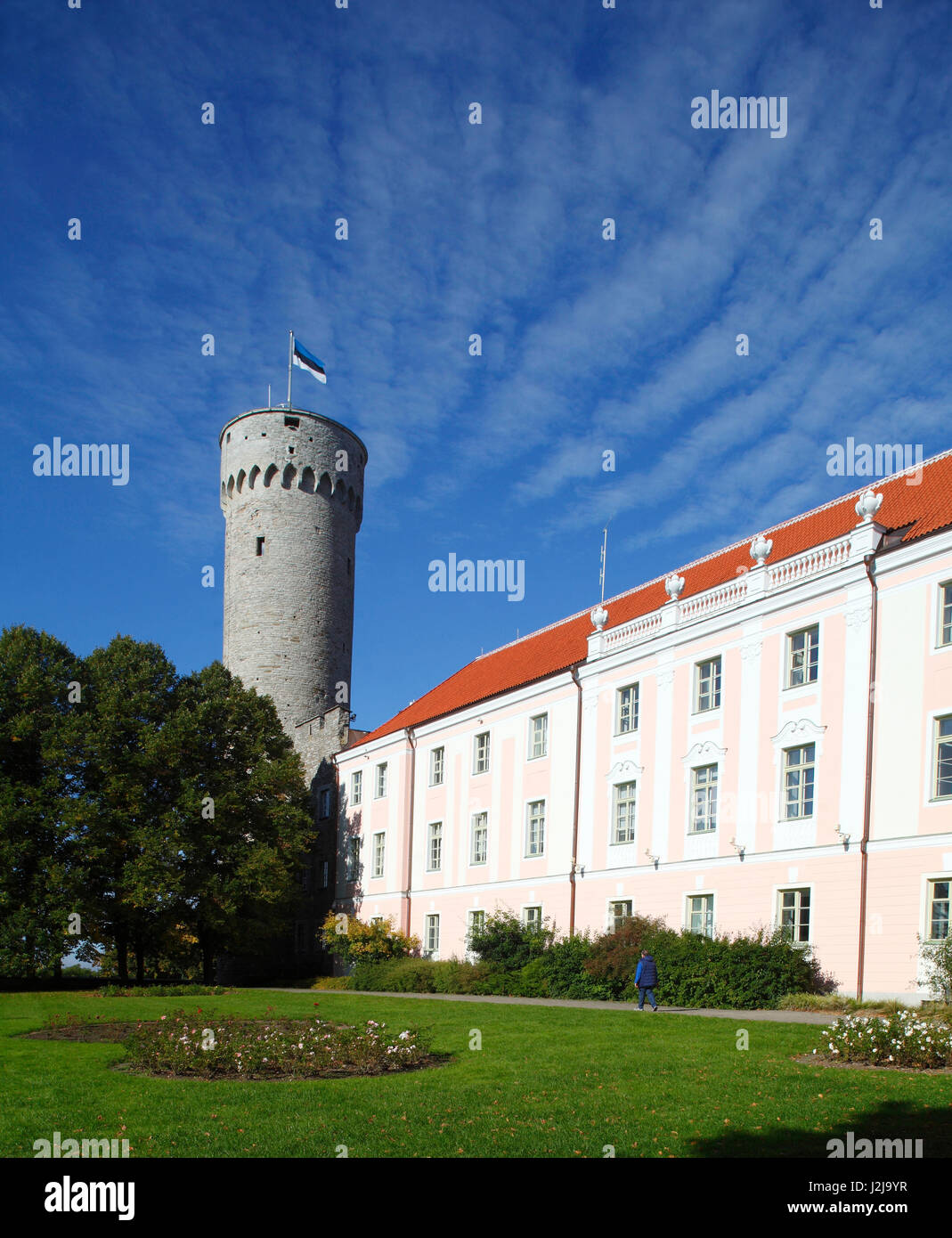 Tower Pikk Hermann, cathedral castle, parliament building, Tallinn ...