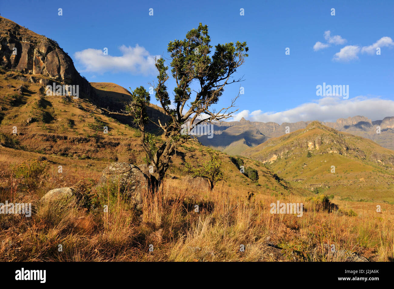 South Africa, Kwazulu Natal, Drakensberg mountains, uKhahlamba Park ...
