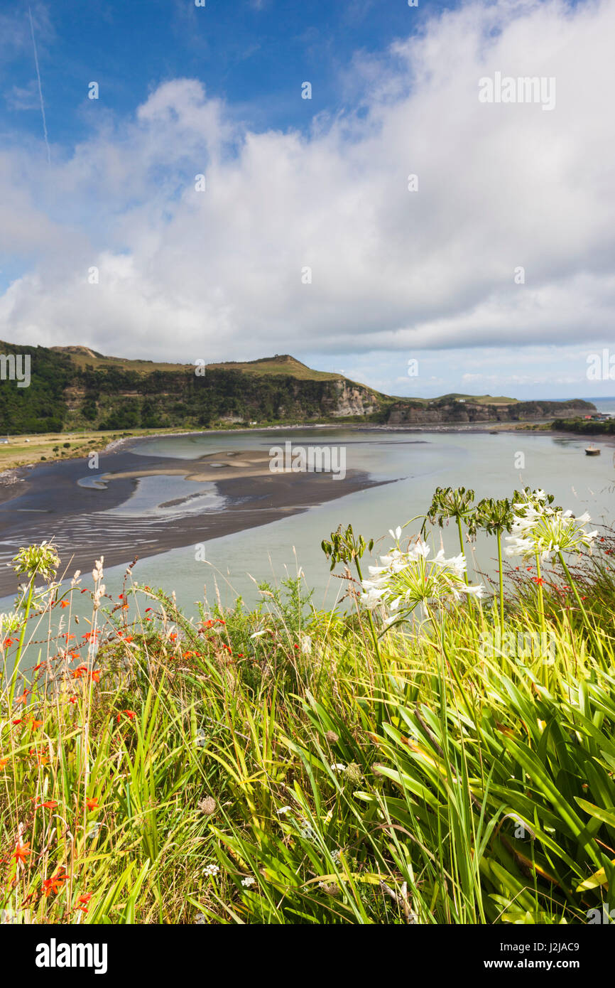 Mokau hi-res stock photography and images - Alamy