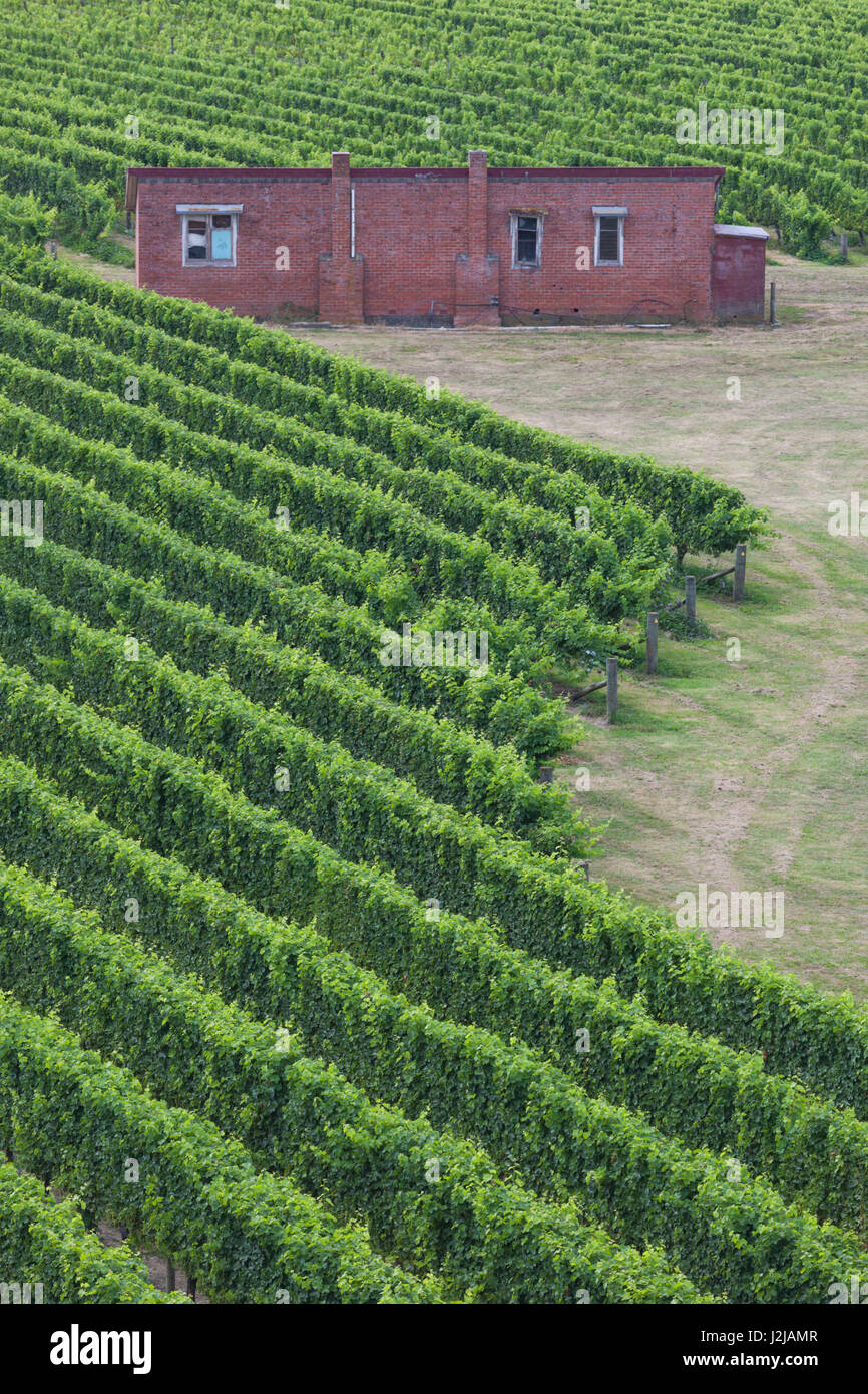 Taradale hi-res stock photography and images - Alamy