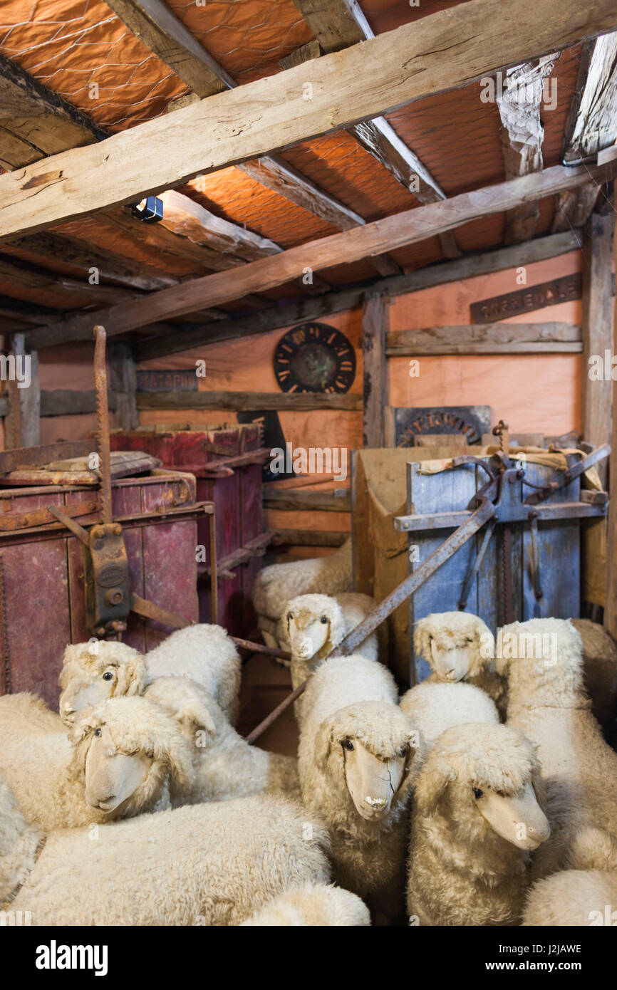 New Zealand, North Island, Masterton, The Wool Shed, National Museum of ...