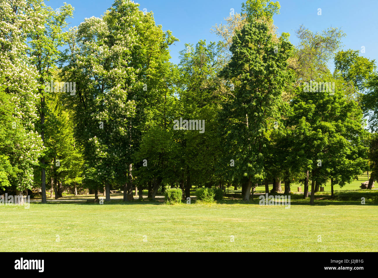 amazing park view in the city of monza Stock Photo - Alamy