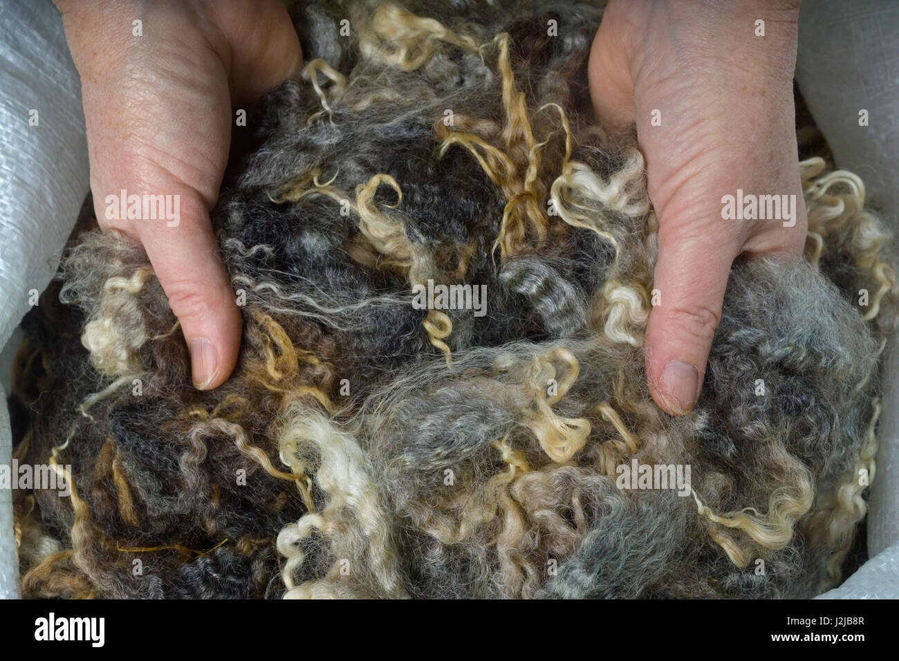 Fabric testing hi-res stock photography and images - Alamy