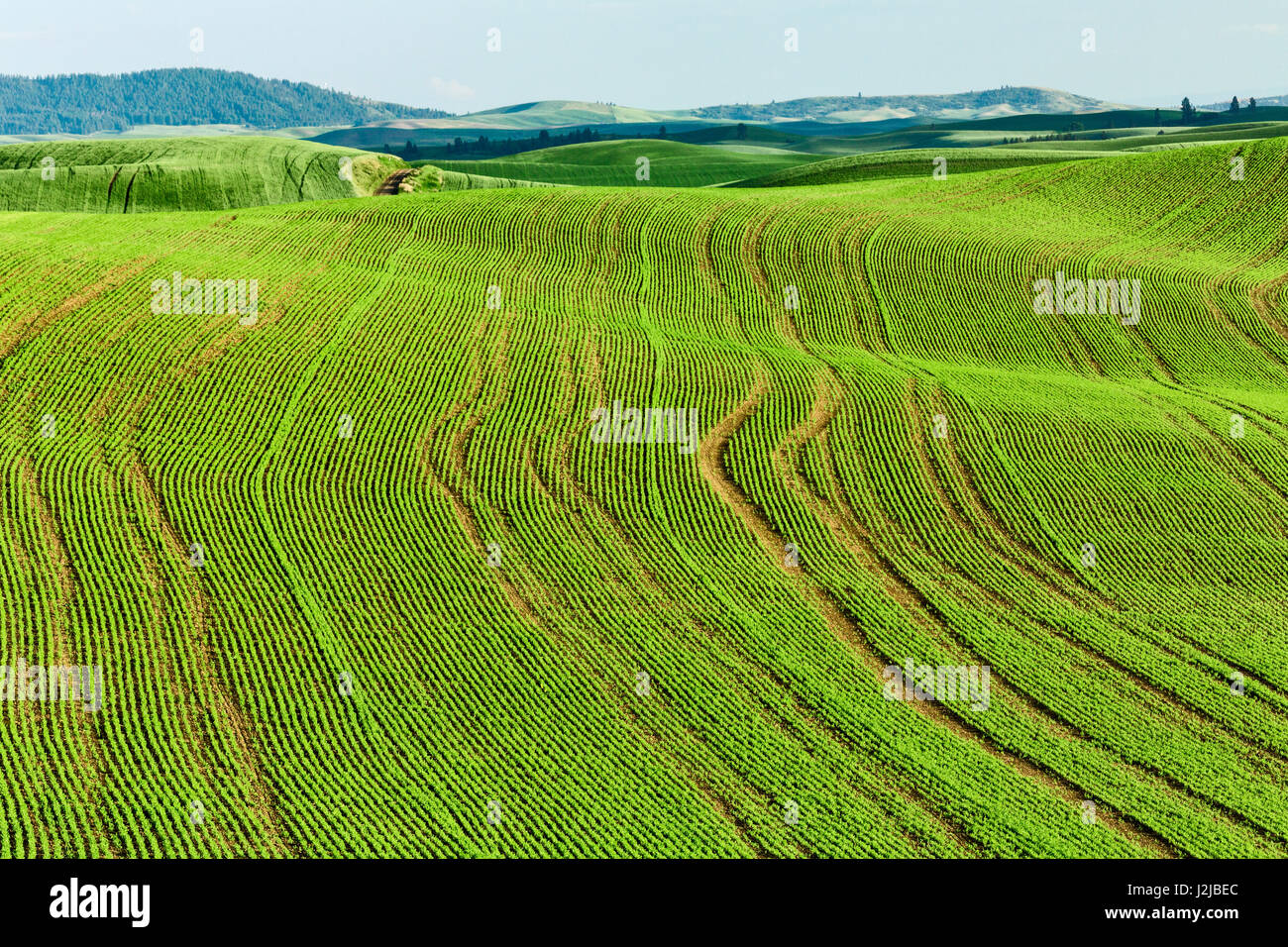 Contour Farming Definition