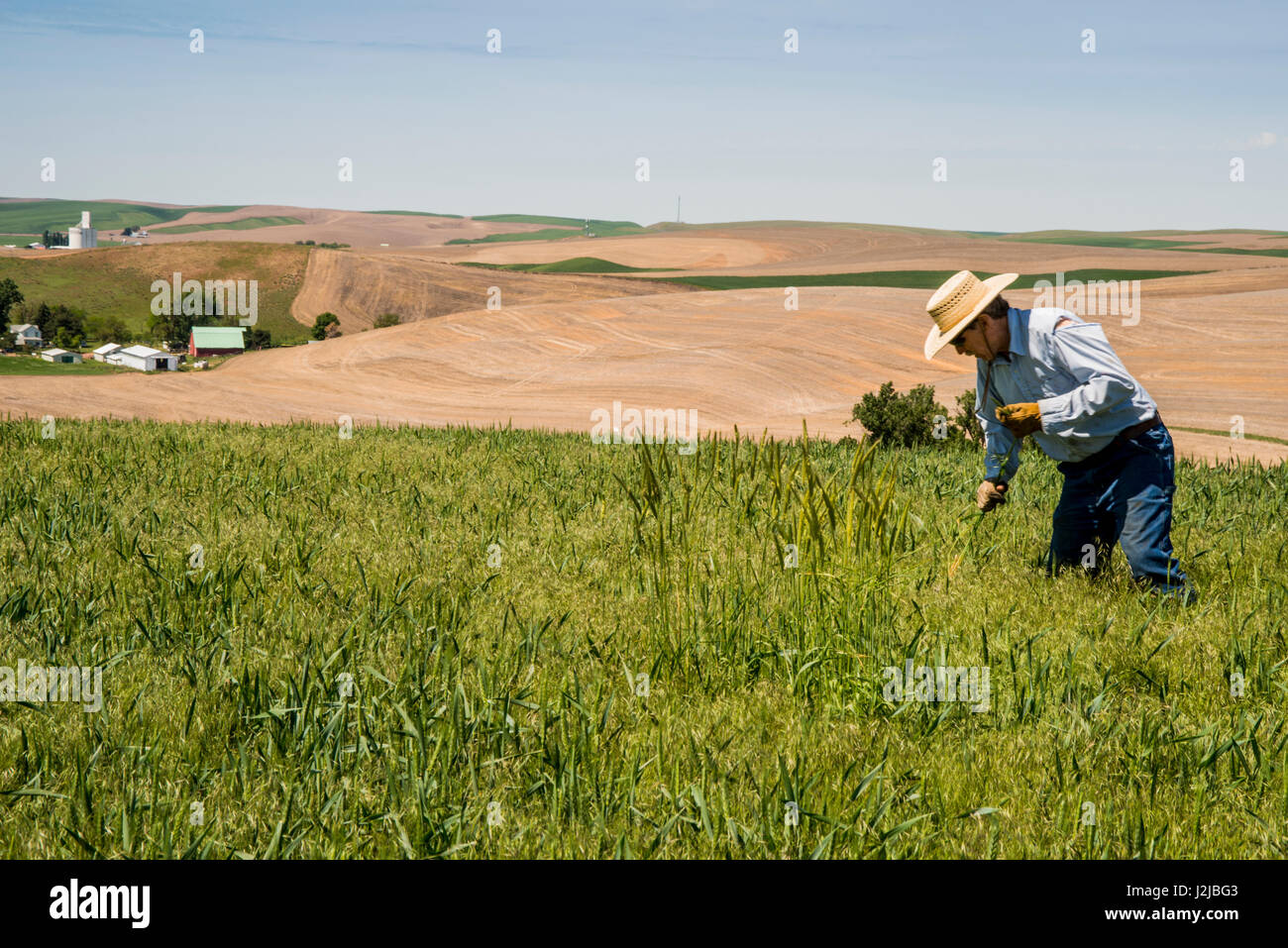 USA, Washington State, Palouse, Whitman County, No Water No Life, Snake ...