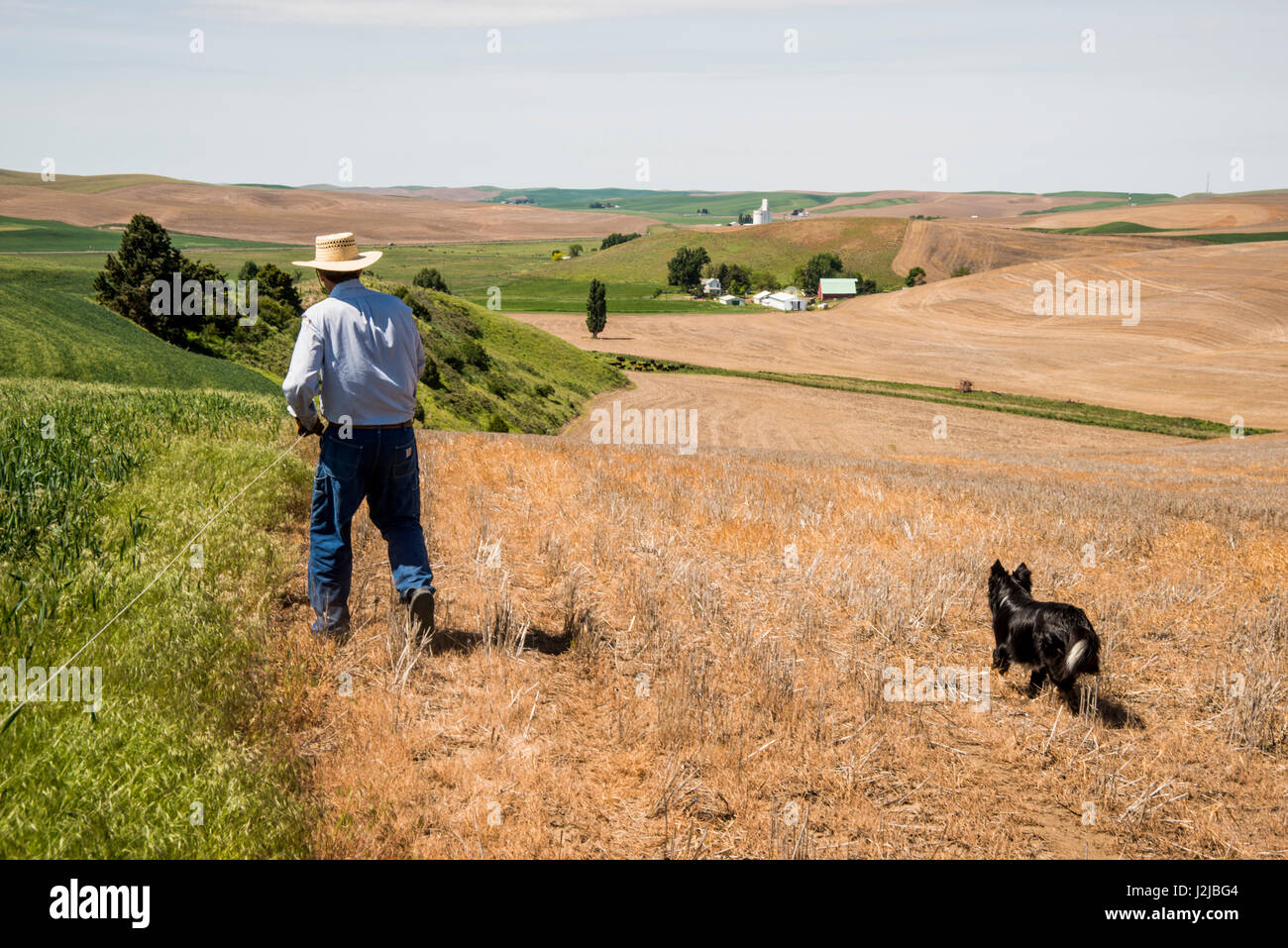USA, Washington State, Palouse, Whitman County, No Water No Life, Snake ...