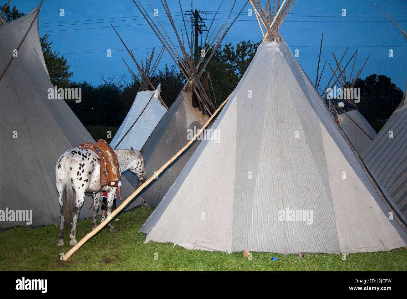 Nez perce indian horse hi-res stock photography and images - Alamy