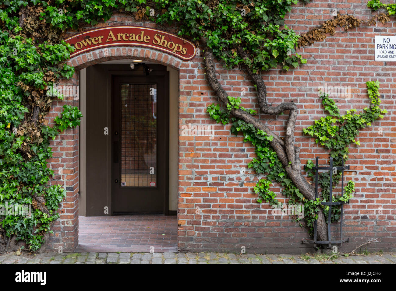 Seattle growing vine in hi-res stock photography and images - Alamy
