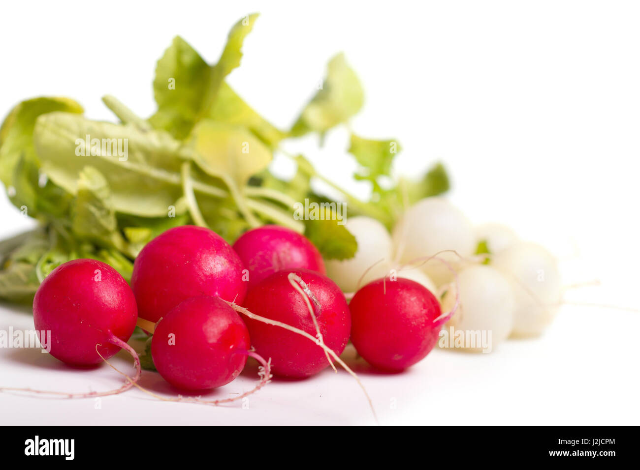 Vegetarian radish hi-res stock photography and images - Alamy