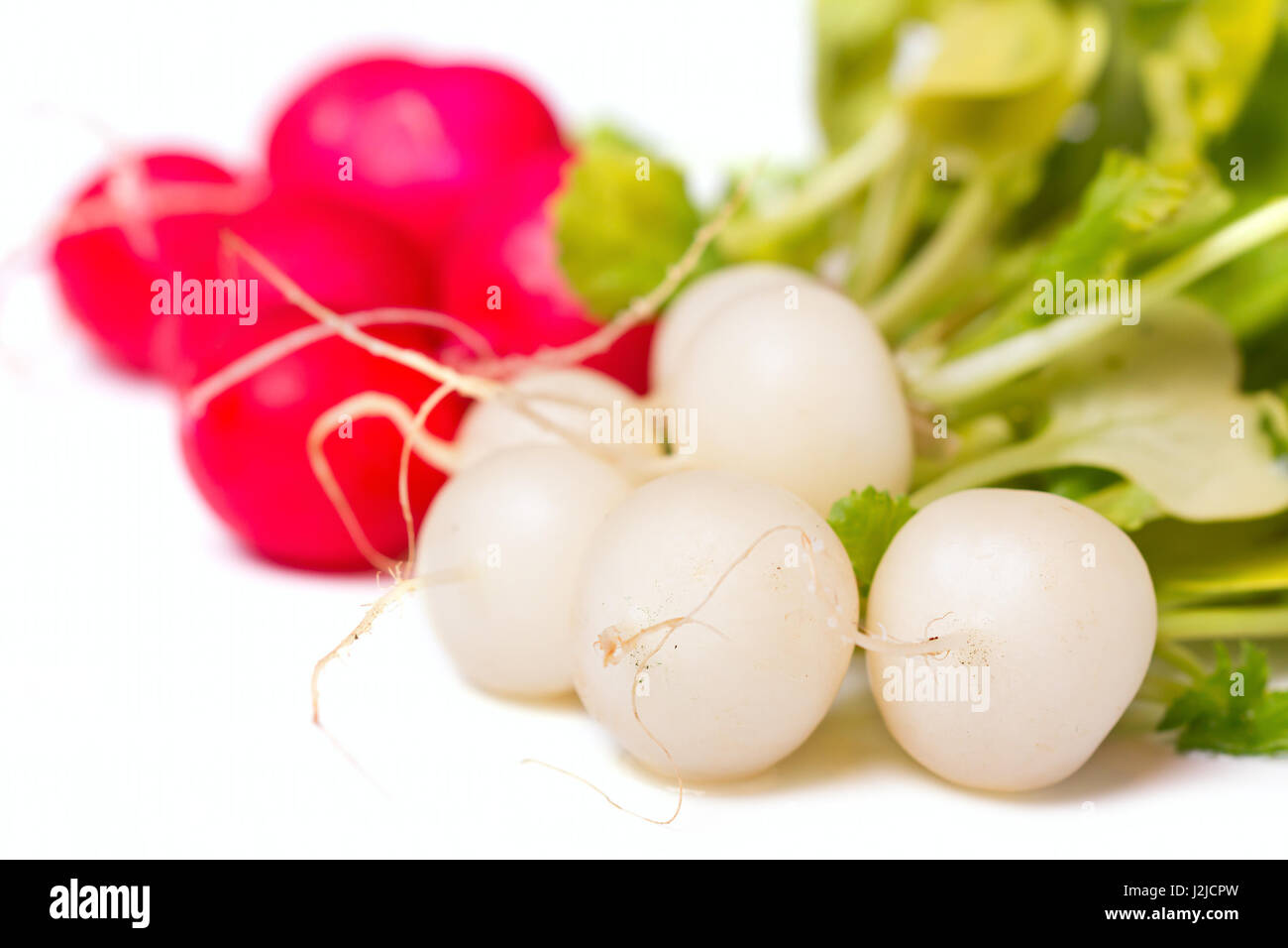 Vegetarian radish hi-res stock photography and images - Alamy