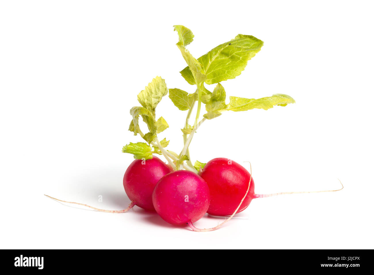 Bunch fresh red radish Cut Out Stock Images & Pictures - Alamy
