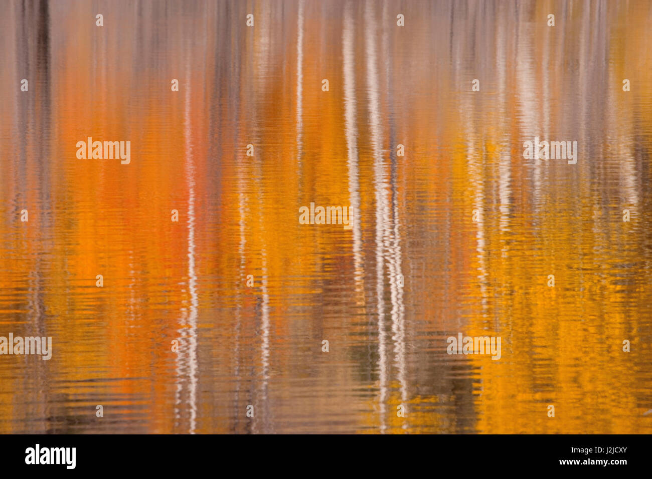 USA, Washington State, Winthrop. Autumn reflections on Beaver Pond. Credit as: Don Paulson ...