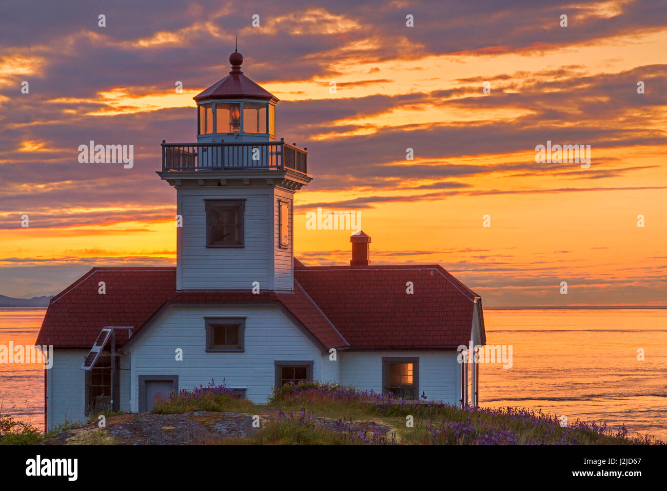 USA, Washington State, San Juan Islands. Patos Lighthouse and camas ...