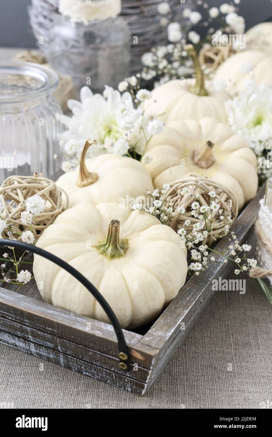 Floral decoration with white pumpkins called baby boo and chrysanthemum ...