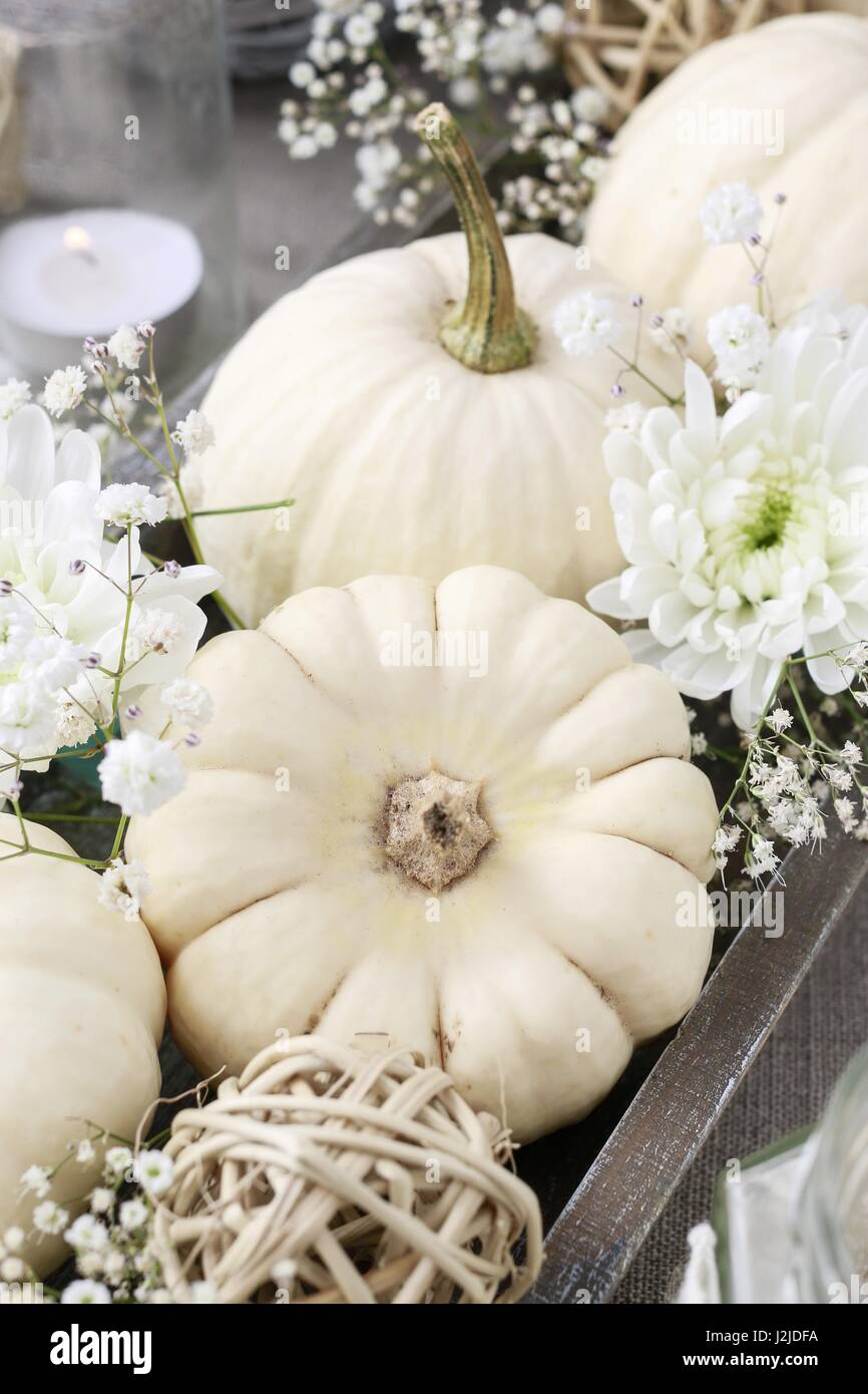 Country style bridal flowers hi-res stock photography and images - Alamy