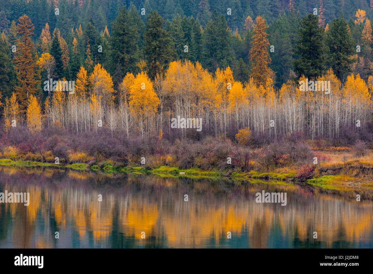 Pend oreille river hi-res stock photography and images - Alamy