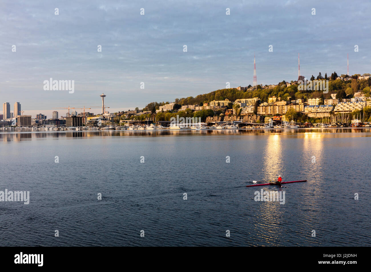 Morning rowing in Lake Union in Seattle, Washington State, USA (Large ...