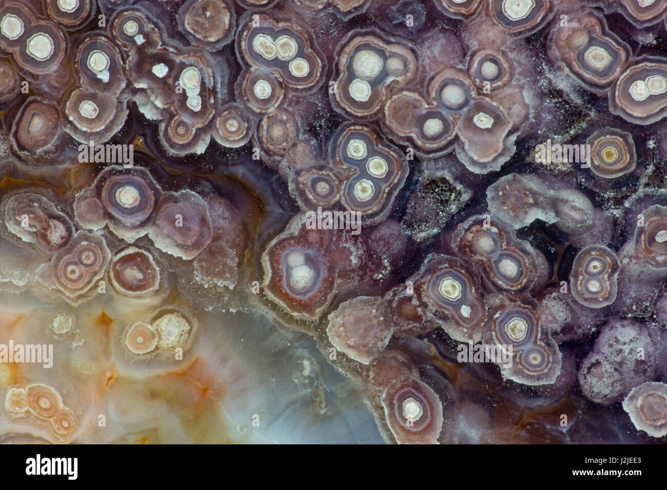 Luna Agate, Mexico Stock Photo - Alamy