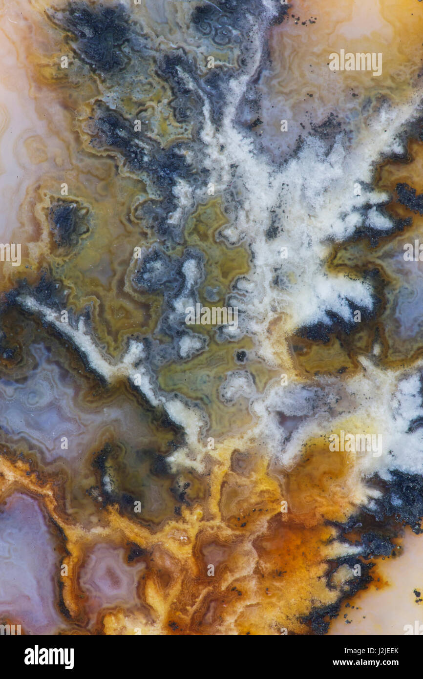 Graveyard Plume Agate, Oregon Stock Photo - Alamy