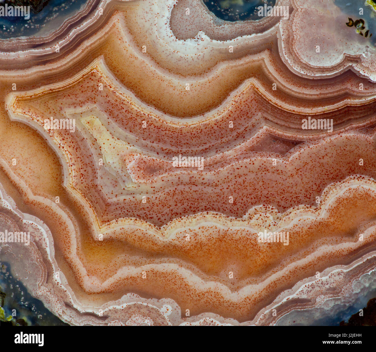 Banded Mexican Agate, Sammamish, WA. (Large format sizes available ...