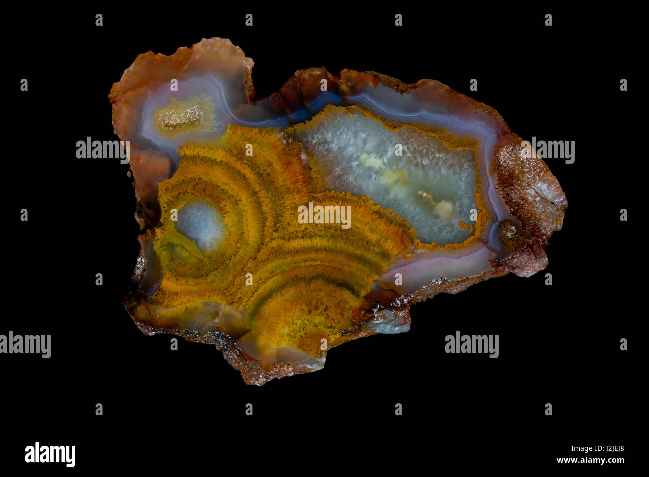 In the design hi-res stock photography and images - Alamy