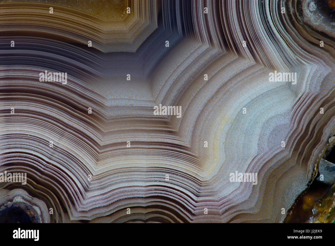 Banded Agate, Sammamish, Washington Stock Photo - Alamy