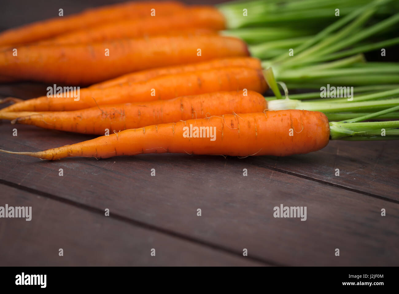 Carrot growing in the garden Stock Photo - Alamy