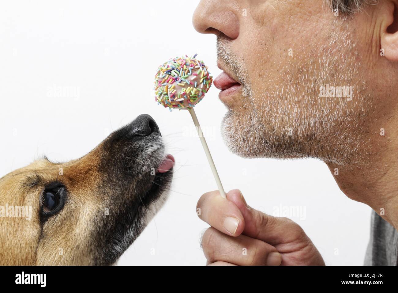 Man and his dog: friends forever Stock Photo - Alamy