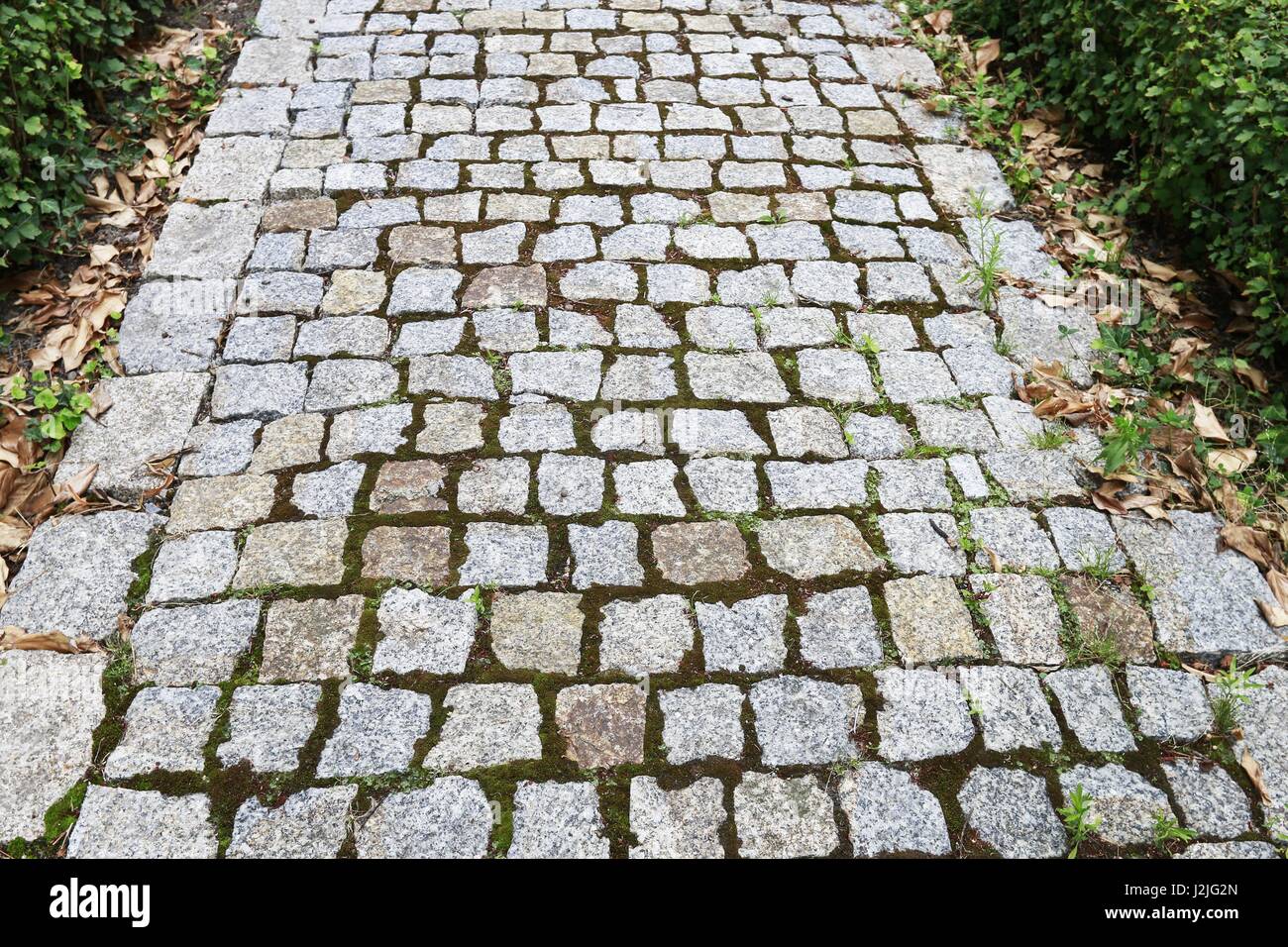 Cobbled path in the garden. Garden hobby Stock Photo - Alamy