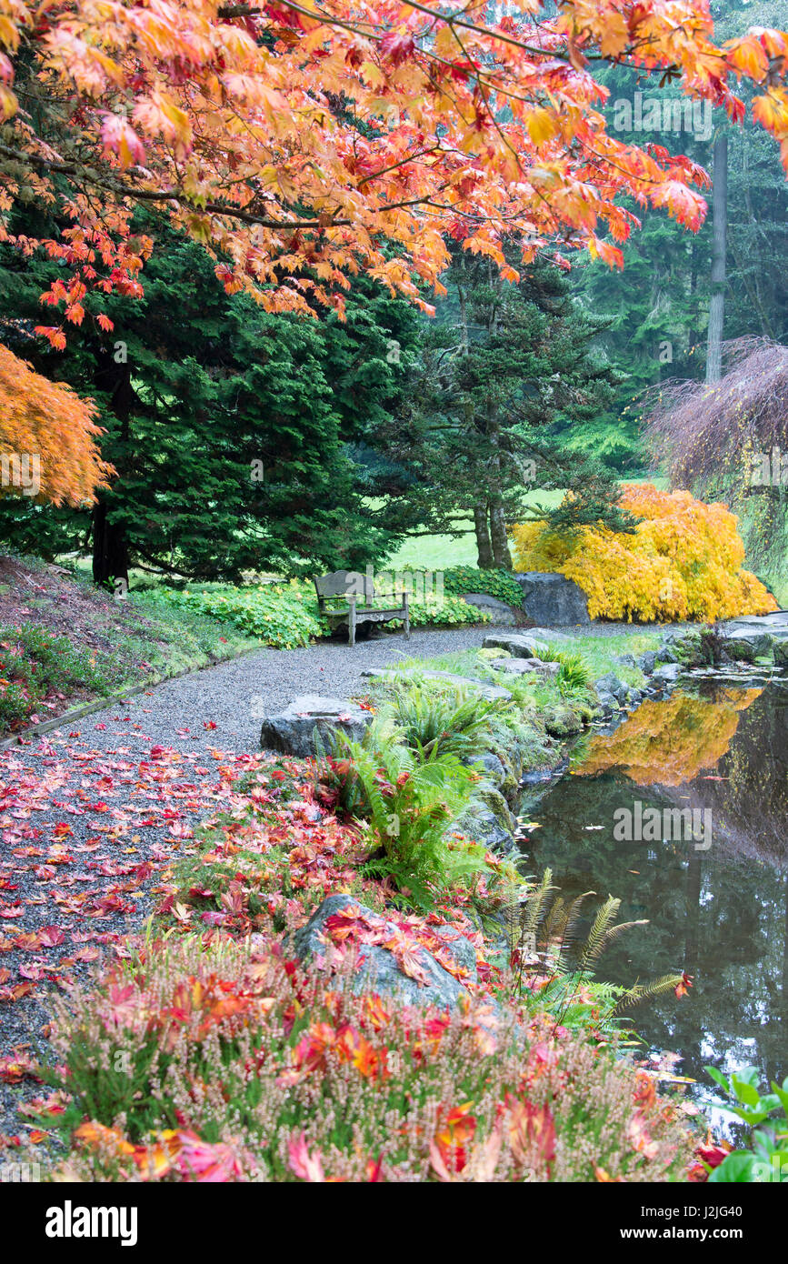 Bloedel Reserve. Inviting pathway through Japanese Gardens in fall ...