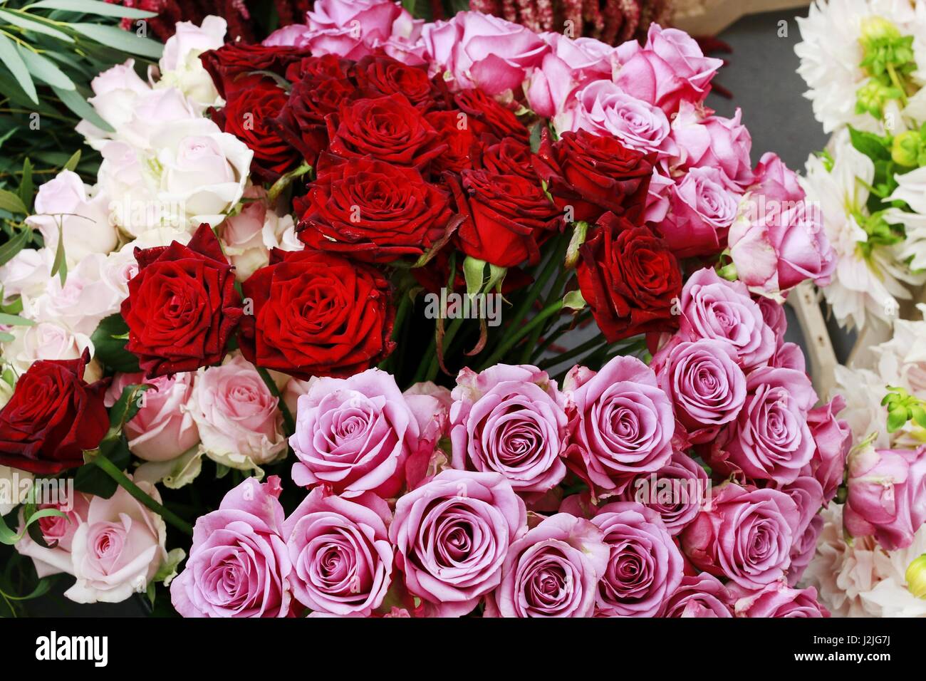 Red and pink roses, party decor Stock Photo - Alamy
