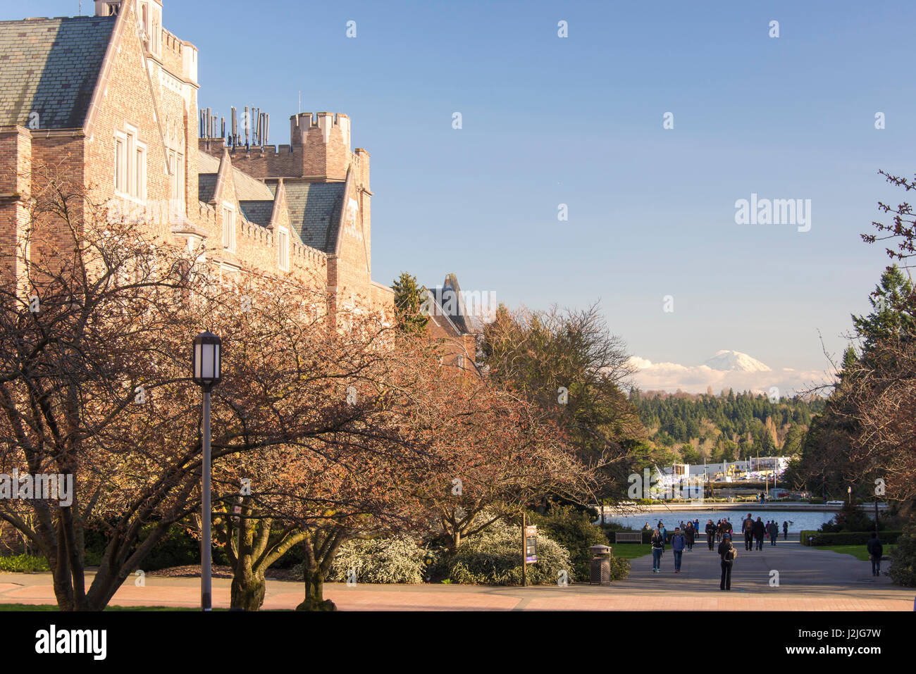 Uw Campus Rainier