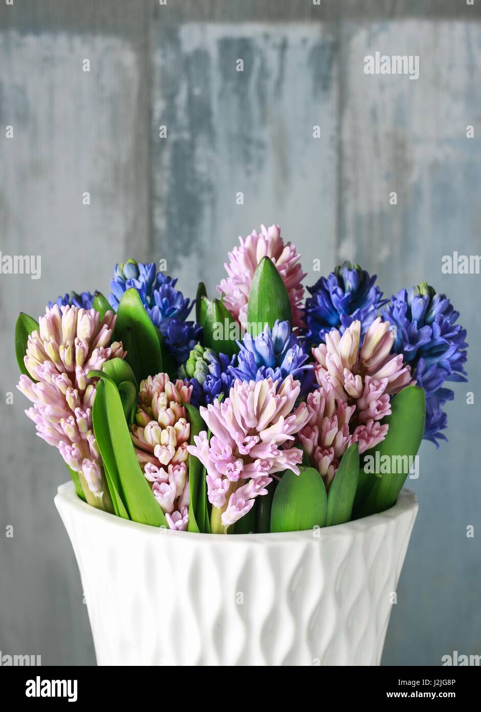 Bouquet of hyacinth flowers, spring decor Stock Photo - Alamy